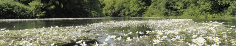 Réserve naturelle nationale de l’île de la Platière – CEN Isère